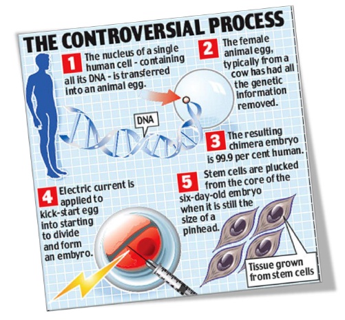 Human Cloning: Another You?| Biology Science Fair Project Ideas
